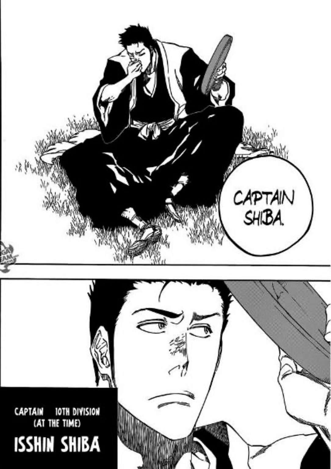 5 Fakta Isshin Kurosaki Bleach: Ayah Ichigo Ternyata Bangsawan Shinigami?